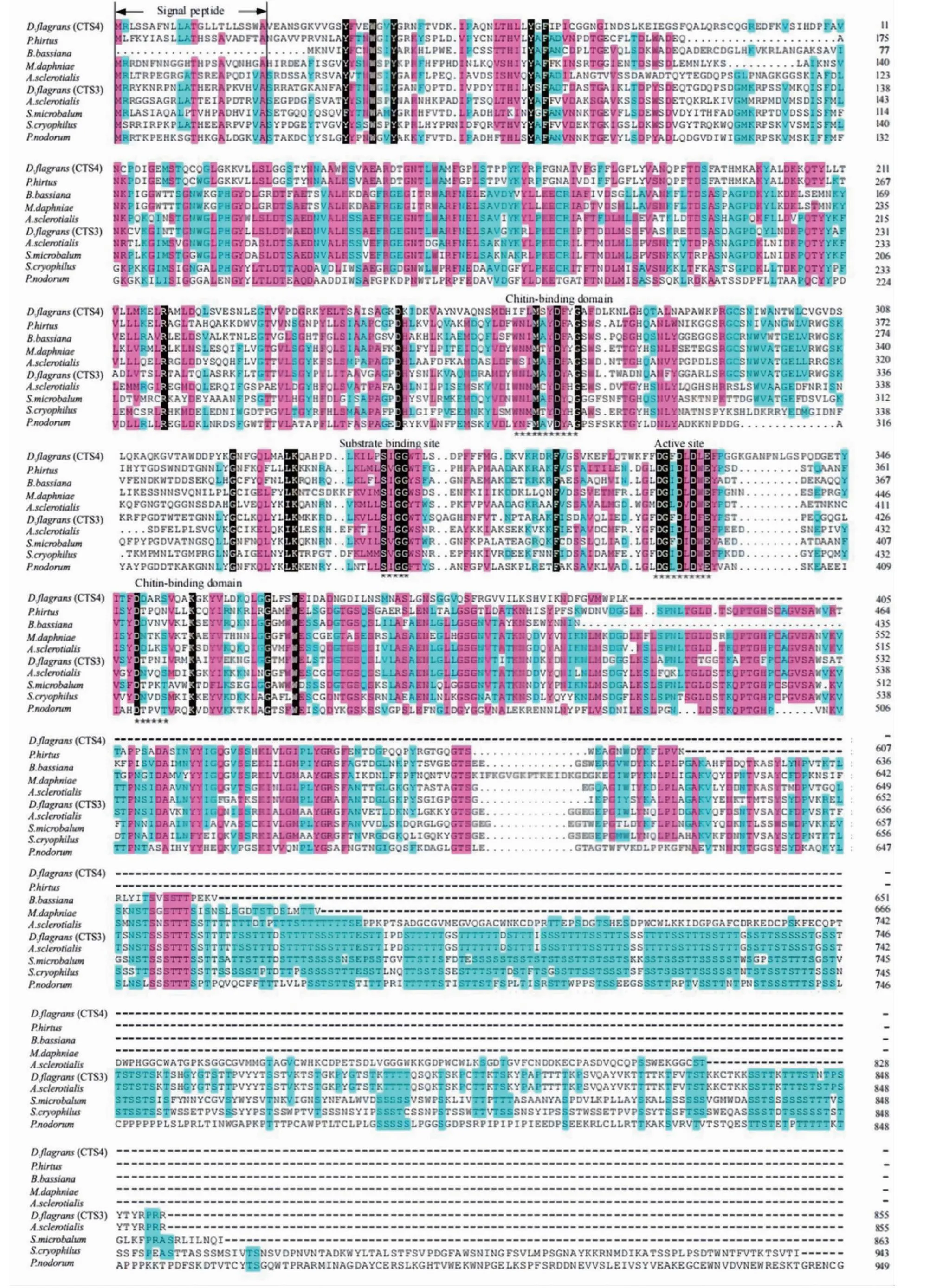 Duddingtonia flagrans几丁质酶CTS3/CTS4的分子特征及亲缘关系 - 知猫论文