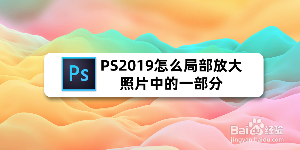 PS2019怎么局部放大照片中的一部分 - 知猫指南