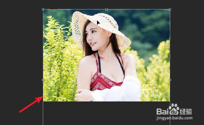 PS2019怎样把竖版图片处理为横版图片 - 知猫指南