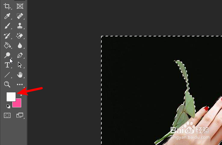 PS2019如何快速把图片背景P成白色 - 知猫指南