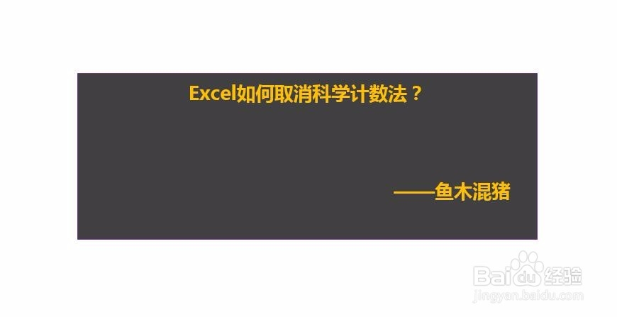 Excel如何取消科学计数法 知猫指南