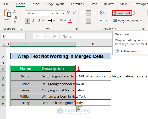 如何修复 Excel 中的“自动换行不起作用”（4 种可能的解决方案） - 知猫指南