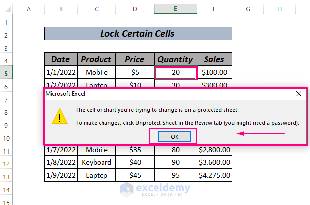 如何锁定 Excel 中的某些单元格（4 种方法） - 知猫指南