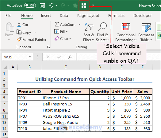 如何在 Excel 中选择可见单元格（5 个快速技巧） - 知猫指南