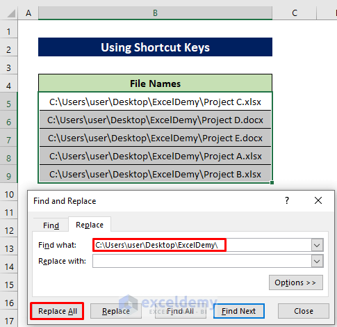 如何将文件名从文件夹复制到 Excel（4 个简单方法） - 知猫指南